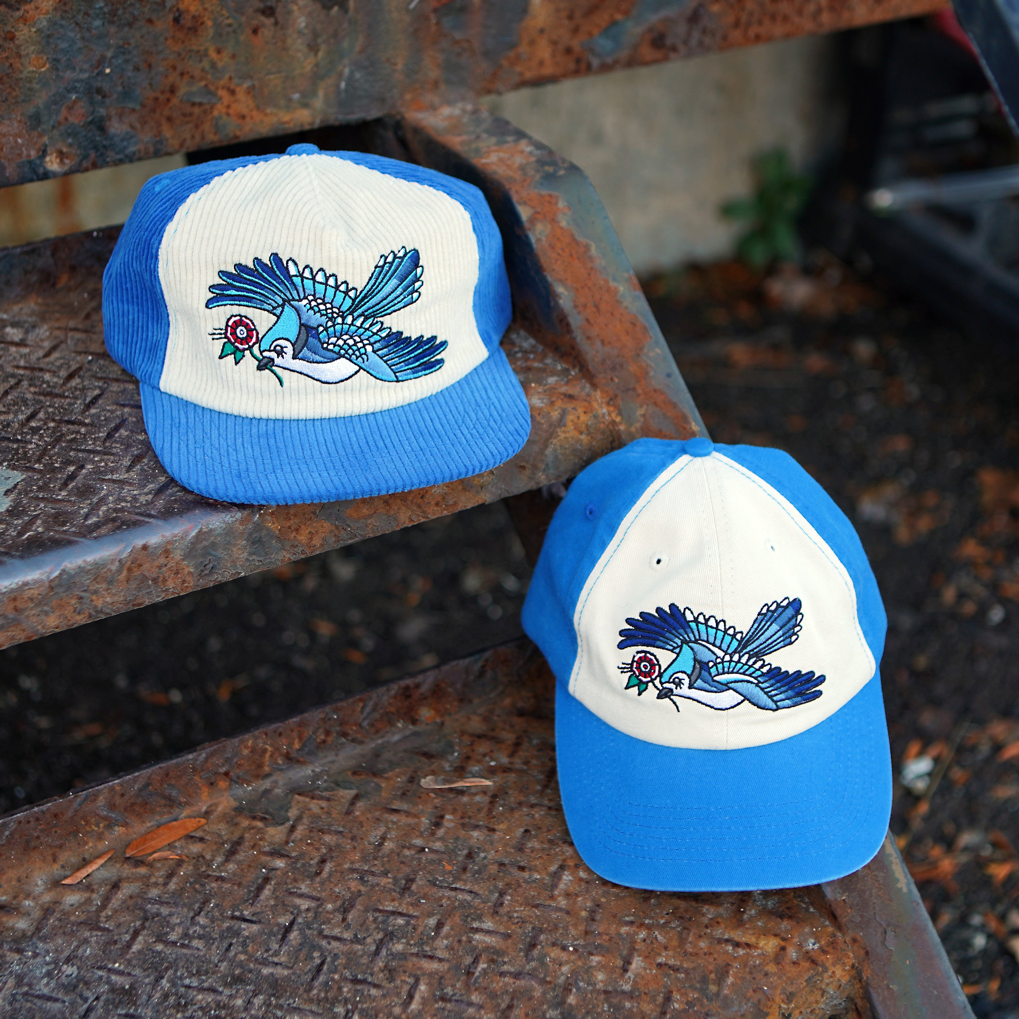 Blue Jay Two-Tone Dad Hat - Stuntin Goods