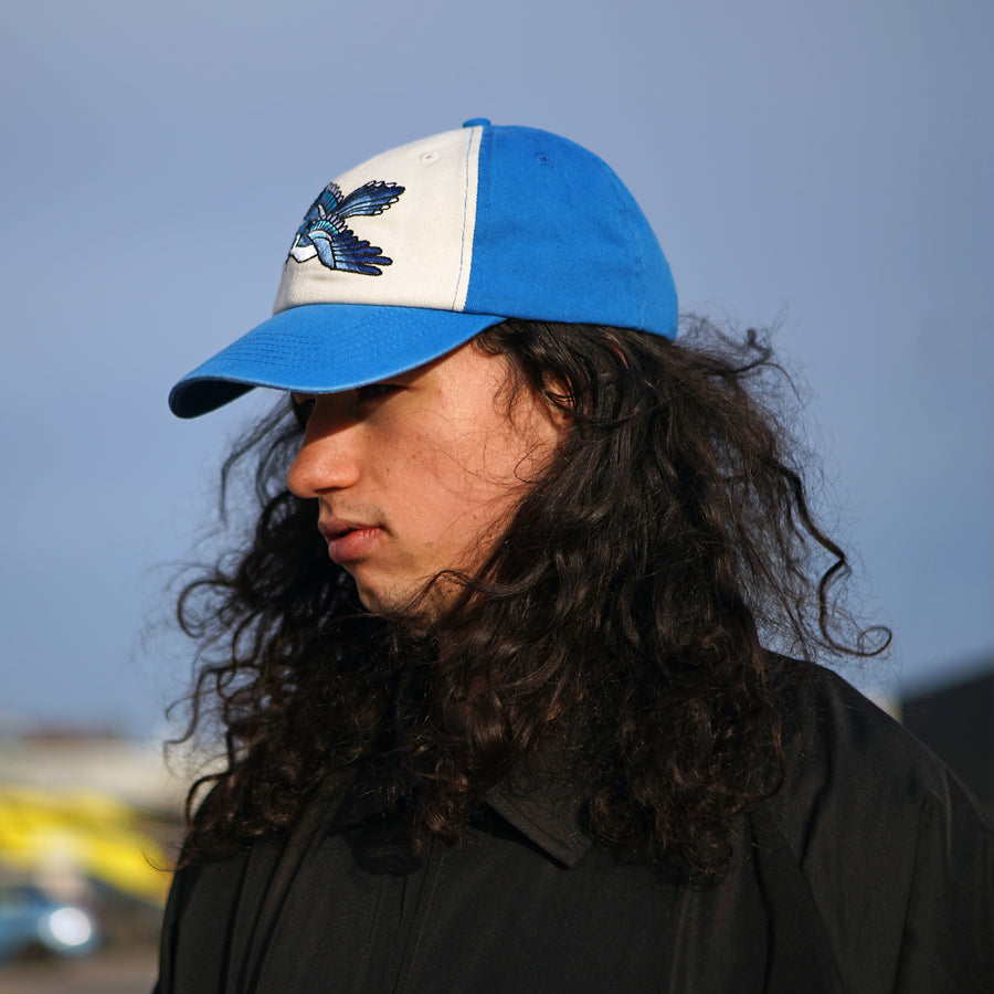 Blue Jay Two-Tone Dad Hat - Stuntin Goods