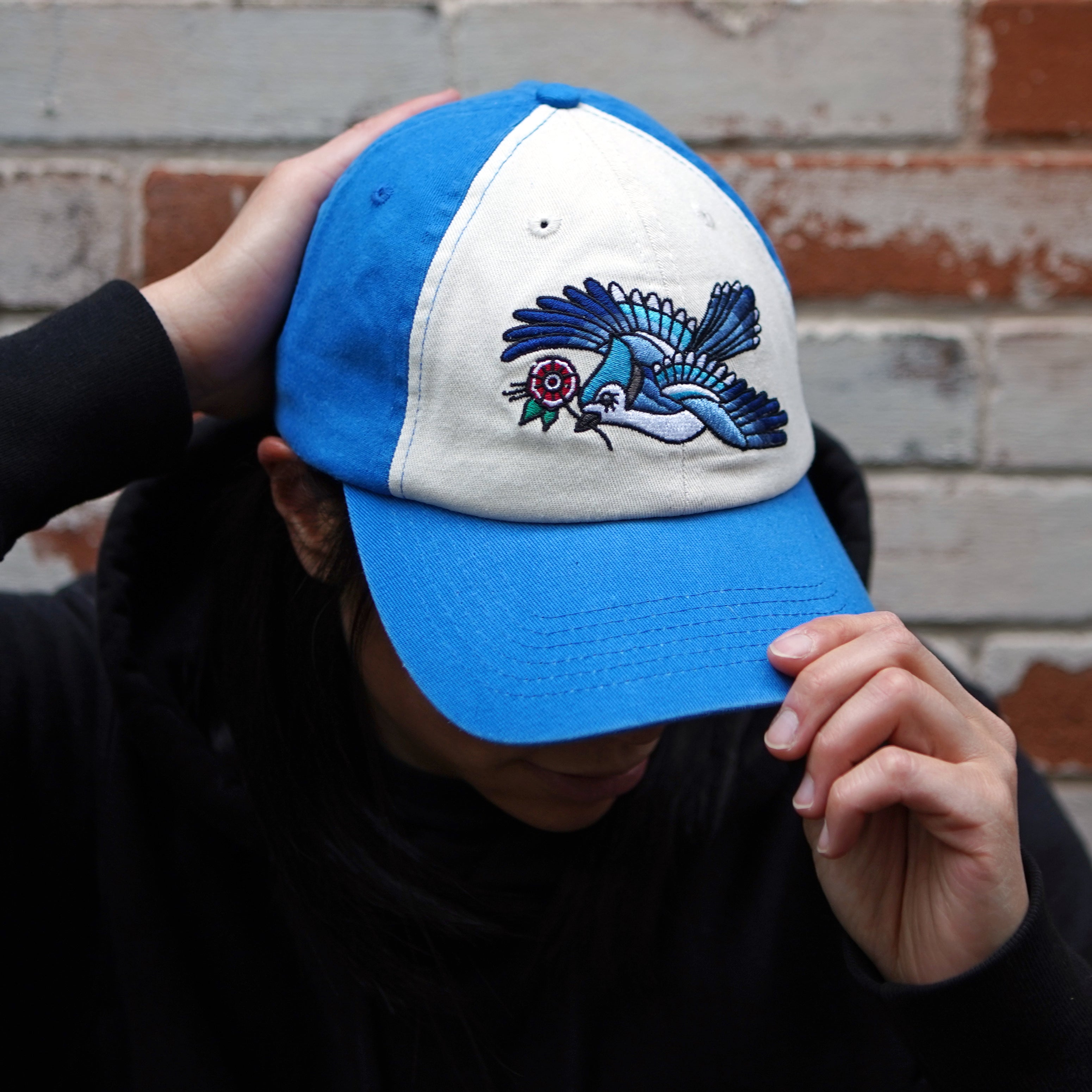 Blue Jay Two-Tone Dad Hat - Stuntin Goods
